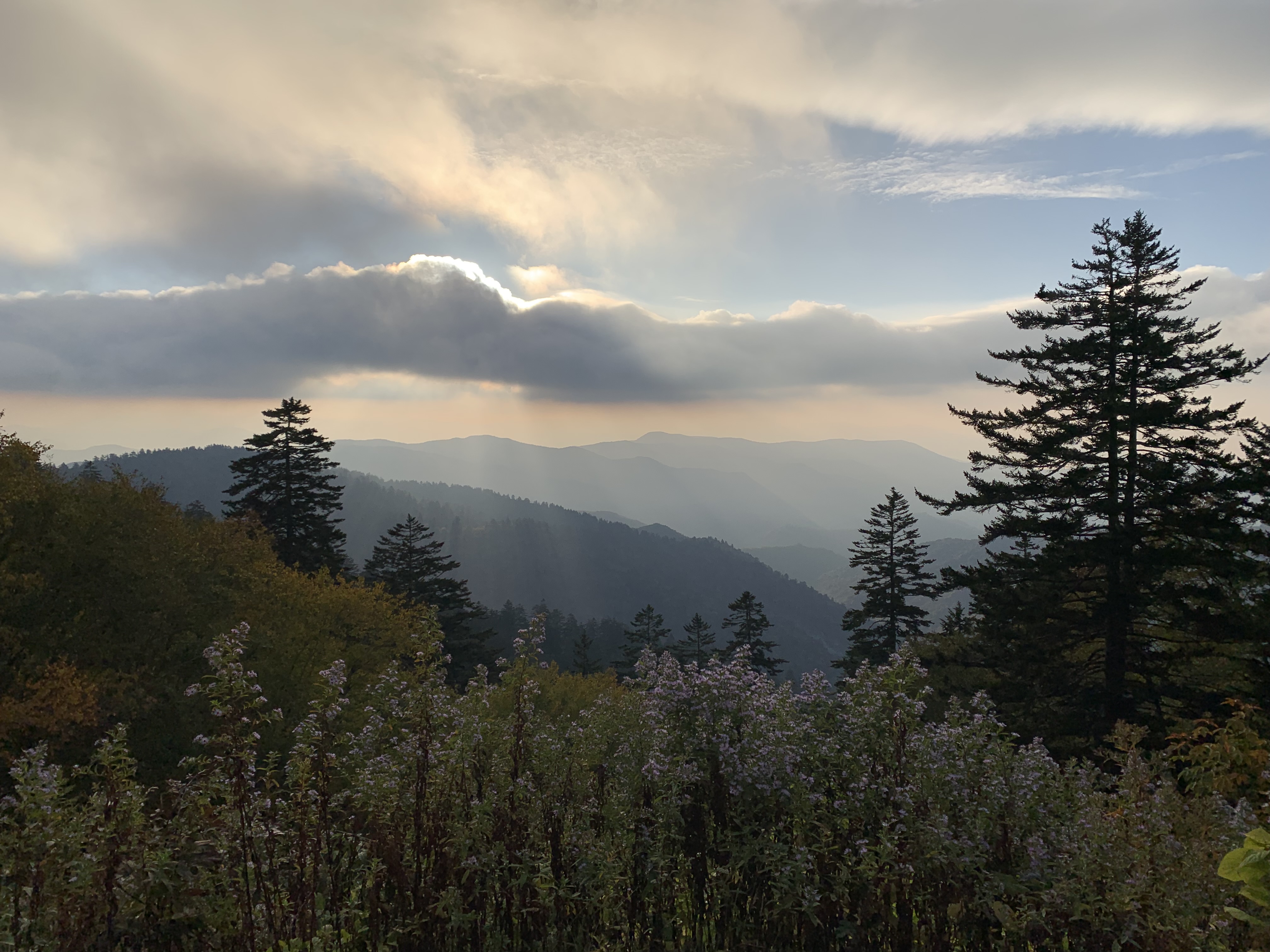 Ordaz Cloud Solutions